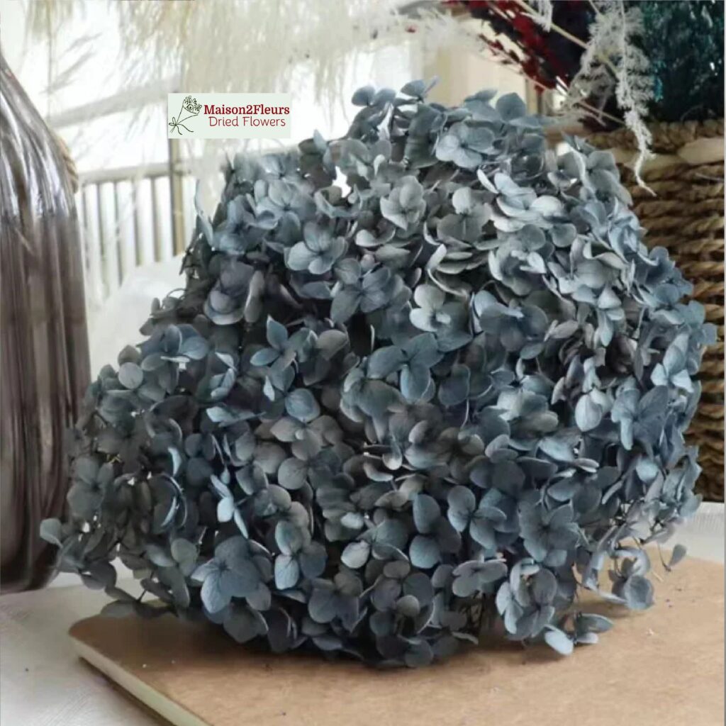 Preserved Hydrangea Anna Heads - Extra Quality - GREY - Maison2fleurs ...